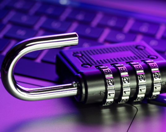 Cracking the Puzzle: Unveiling the Flaws of Insecure Design