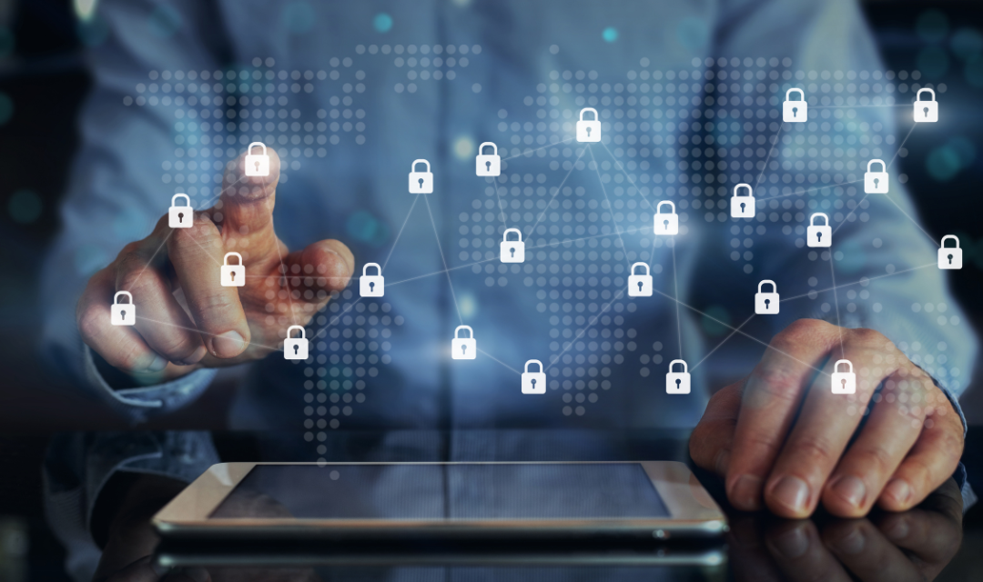 Microsoft’s November 2024 Patch Tuesday Update
