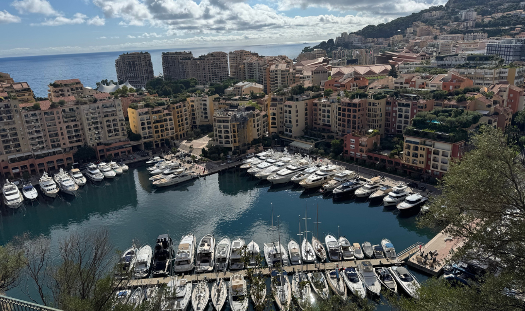 CybaVerse Success Stories – Maxwell Adams