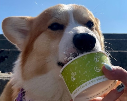 CybaVerse Success Stories – James Disley